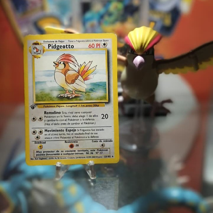 Pidgeotto (1° Edición) - El Vuelo de la Primera Edición :: Mundo PumPum